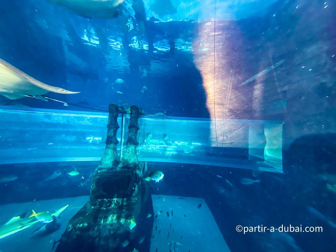Aquaventure Waterpark Atlantis : Meilleur parc aquatique Dubaï